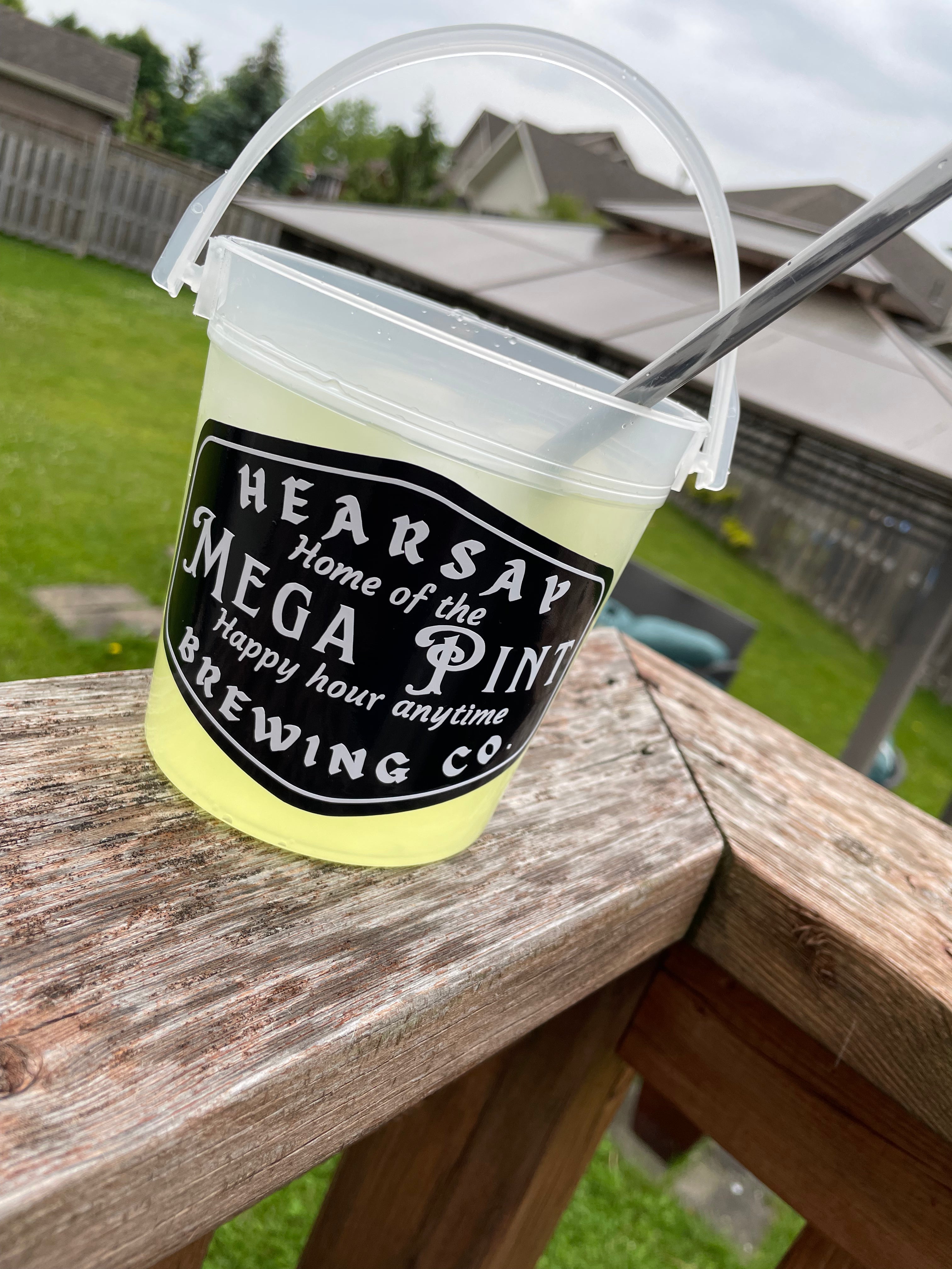 32oz Drink Bucket – Kawartha Vinyl Inc.